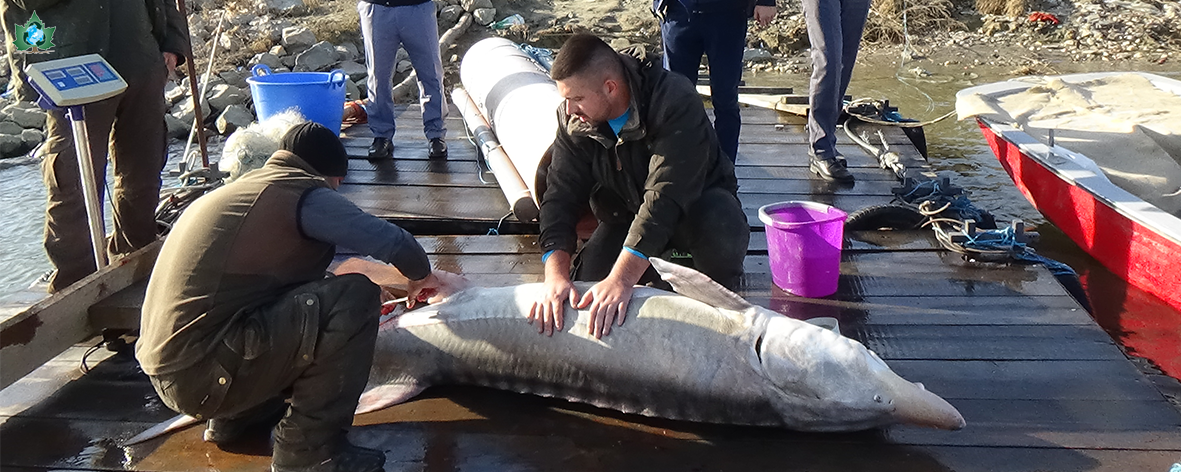 MORUN - Institutul Naţional de Cercetare-Dezvoltare pentru Protecţia ...